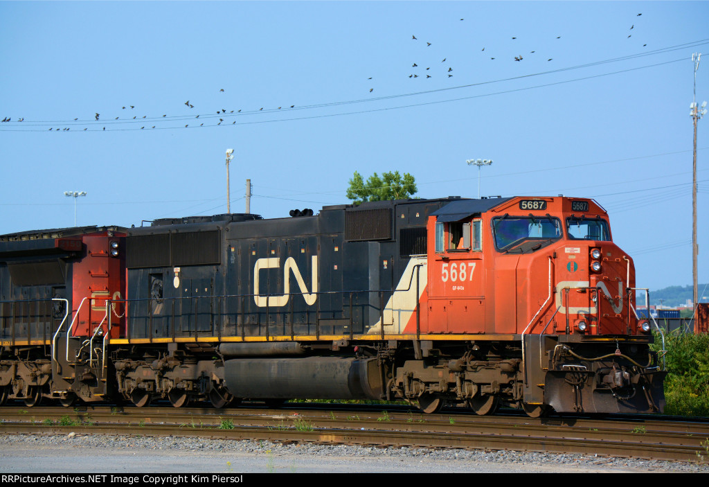 CN 5687